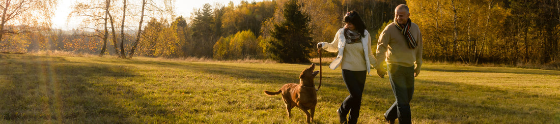 About – Legacy Expressions (UK)